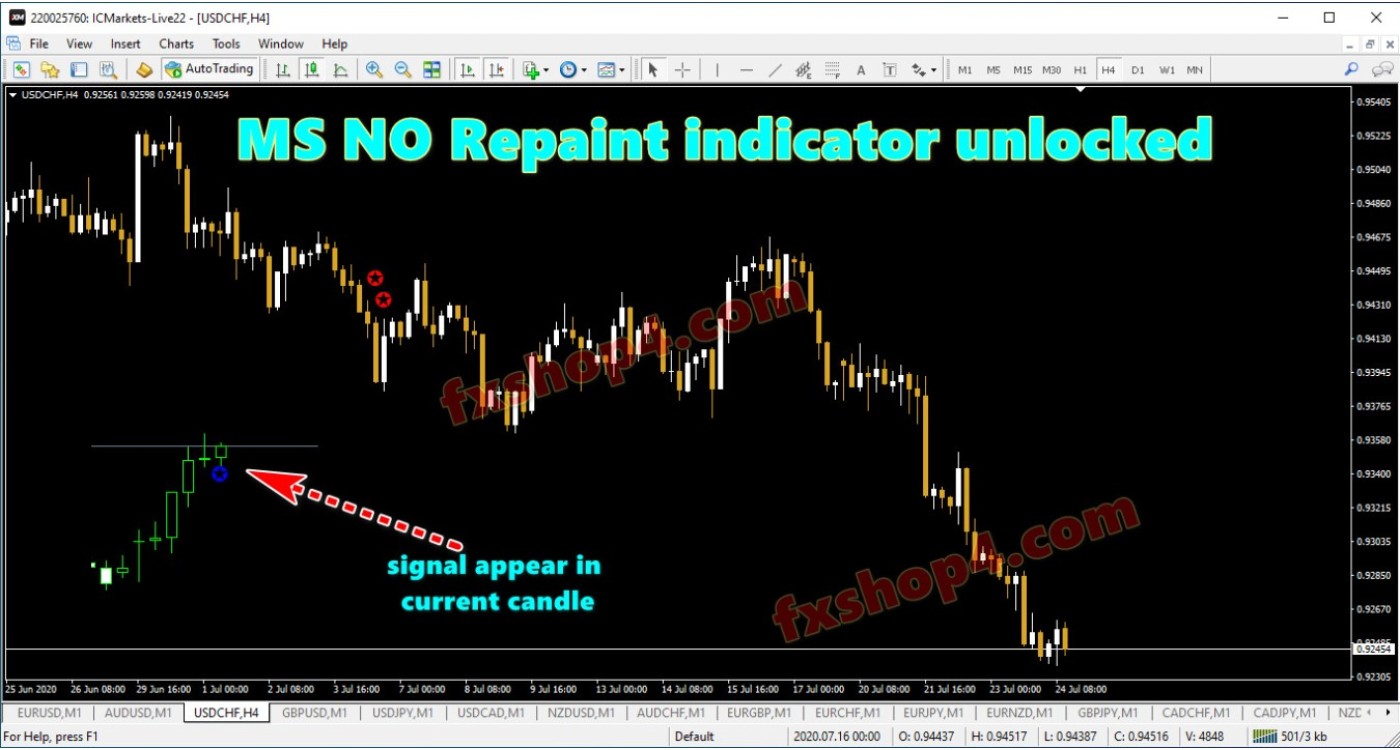 MS NO REPAINT INDICATOR