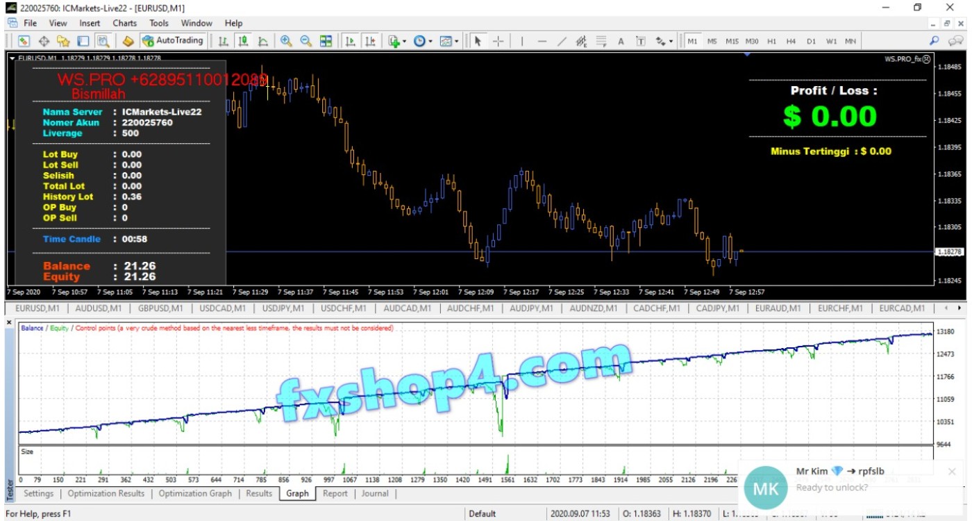 WS.PRO V1.0 EA