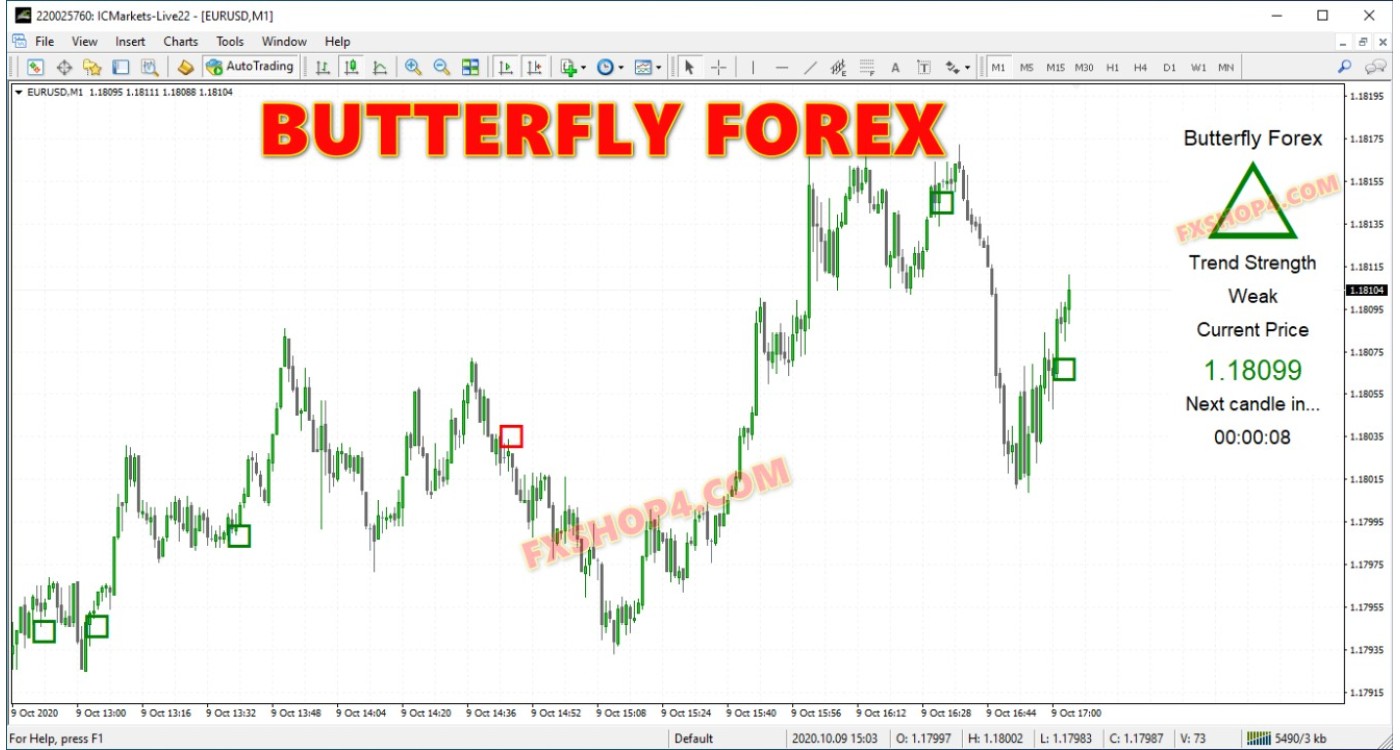 BUTTERFLY FOREX