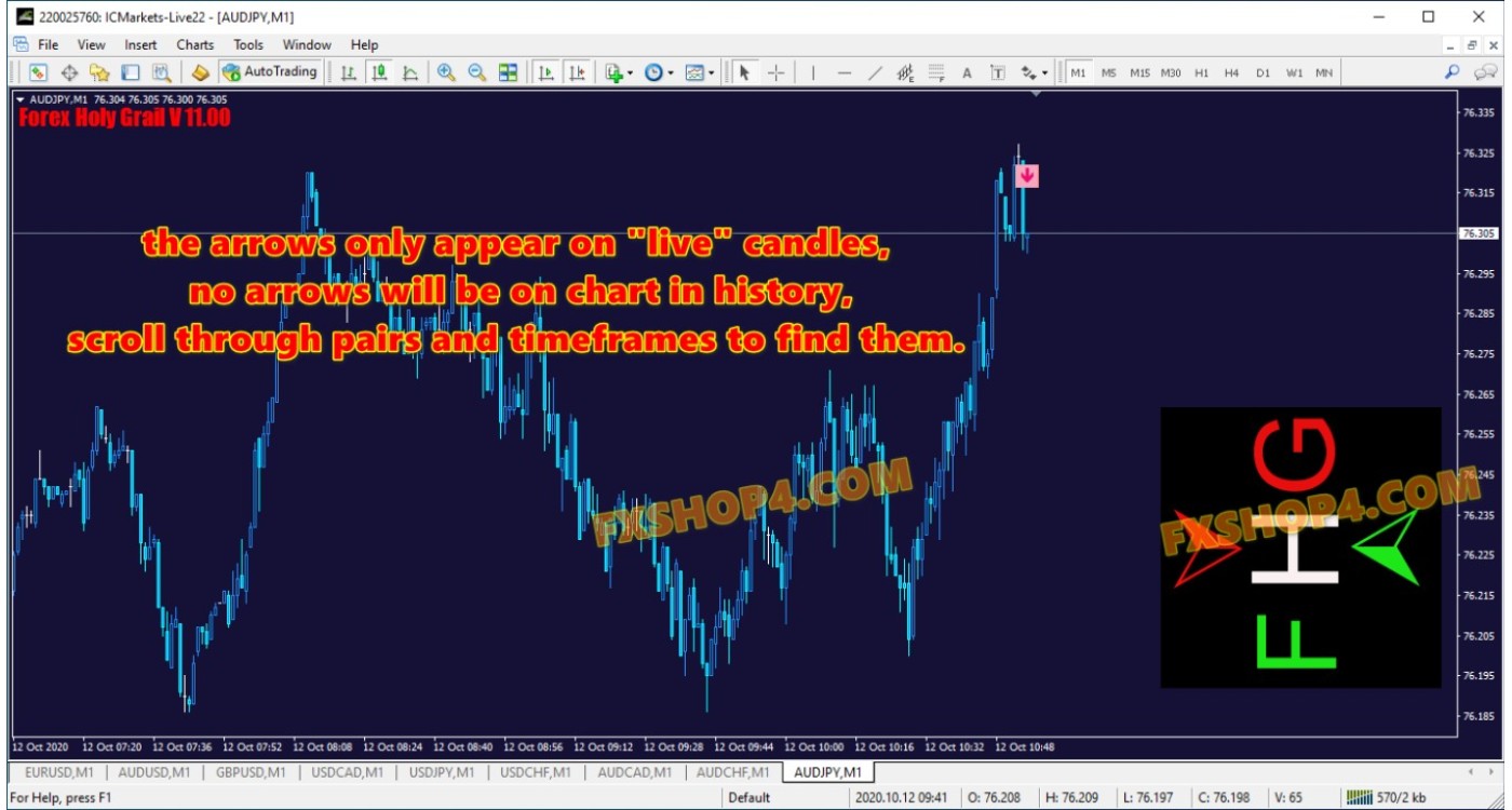FHG Sure Fire Forex Holy Grail V11.0