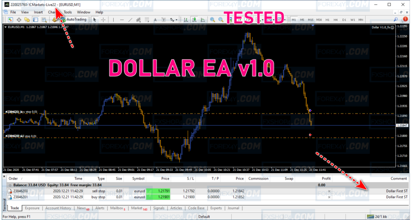DOLLAR V1.0 EA