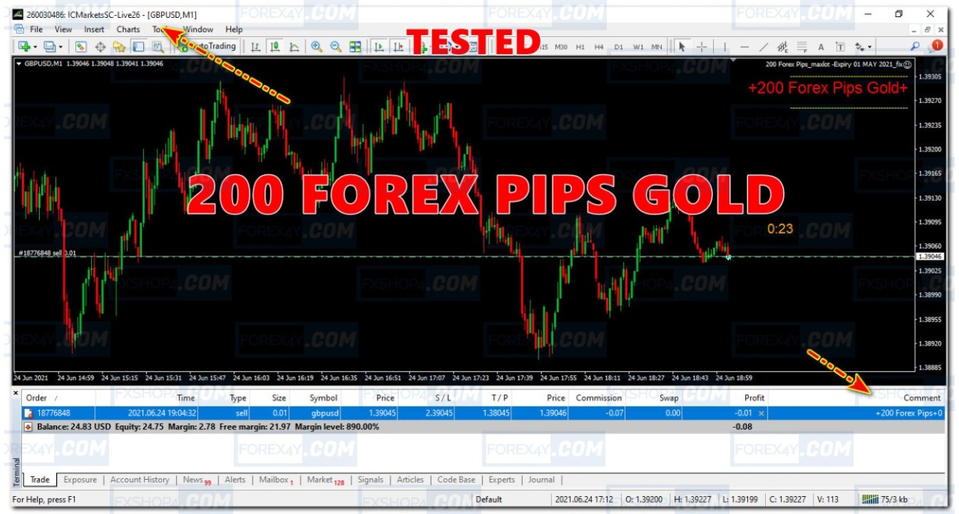 200 FOREX PIPS GOLD