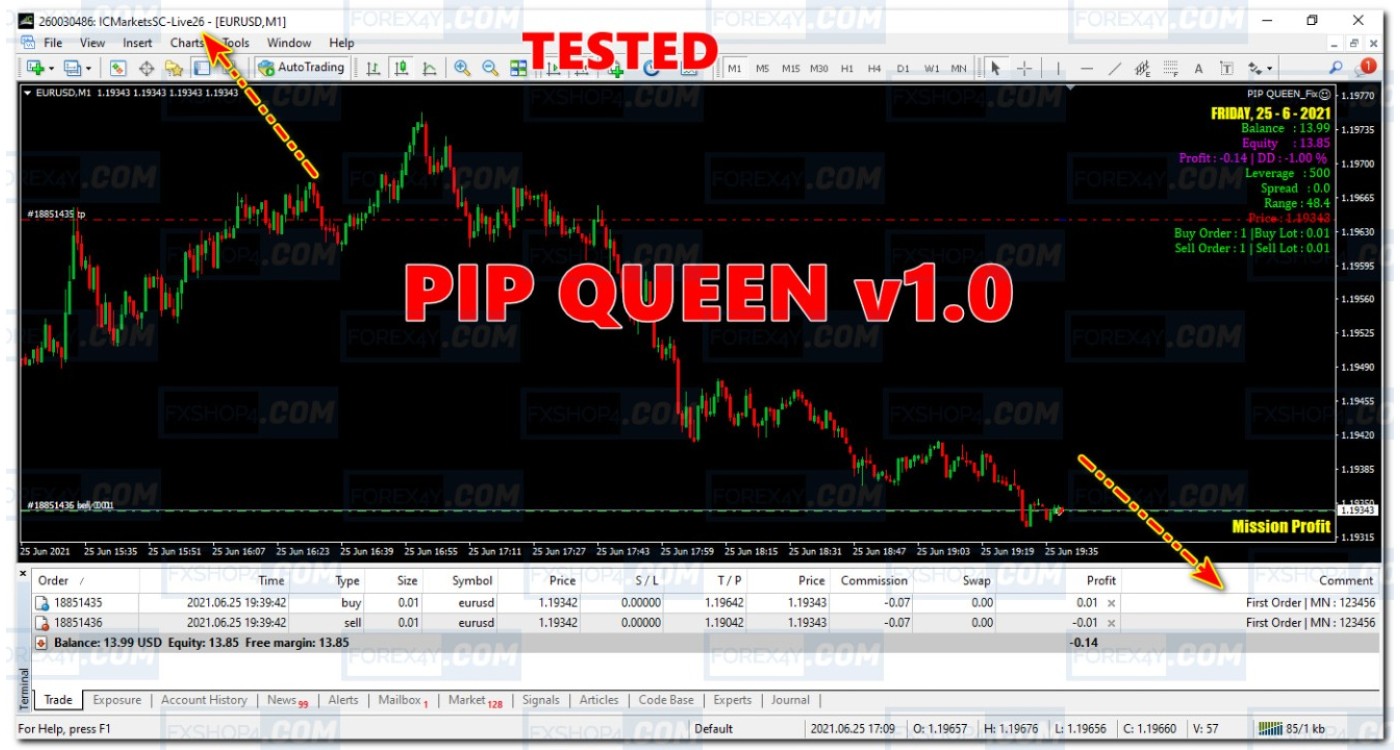 PIP QUEEN SCALPER EA V1.0