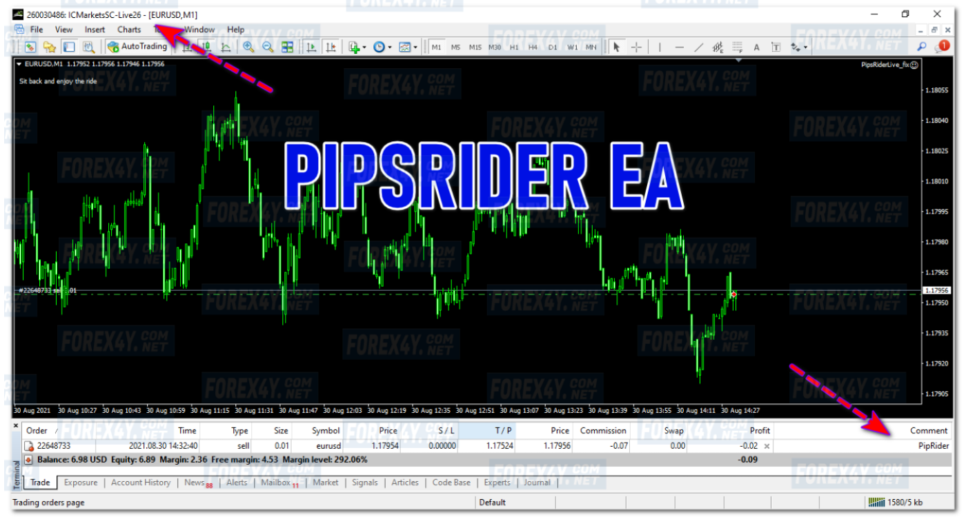 PIPSRIDER EA