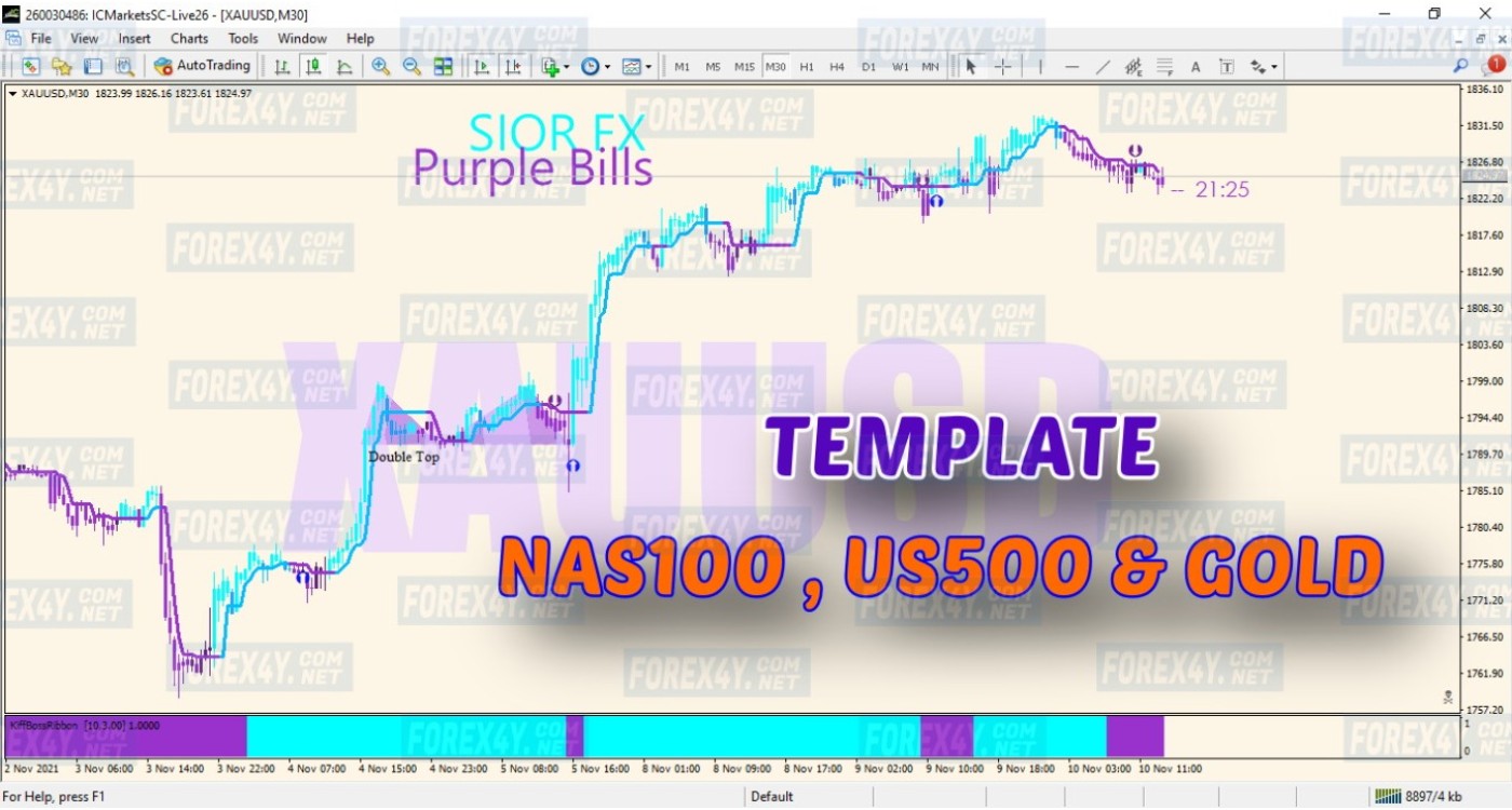 FX PURPLE BILLS SYSTEM