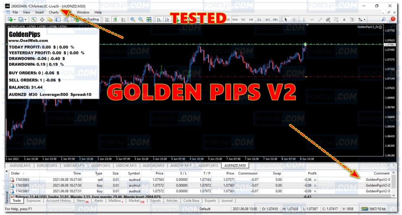 Golden Pips EA v2