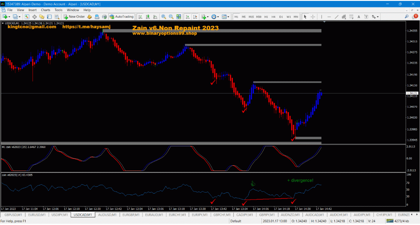 ZAIN V6 2023 (NO REPAINT)