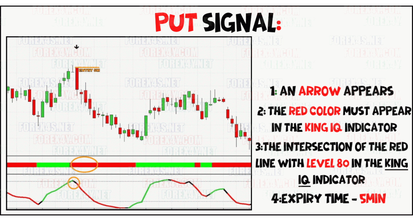 KING IQ INDICATORS v3