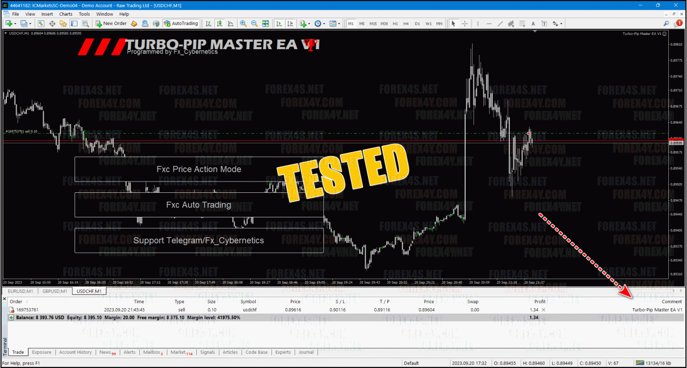 TURBO-PIP MASTER EA v1.0