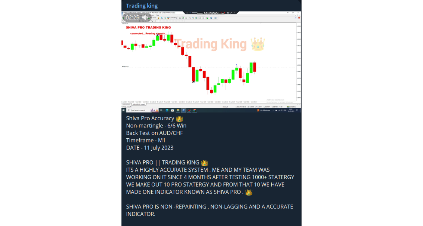 SHIVA PRO TRADING KING v2 (No Repaint)