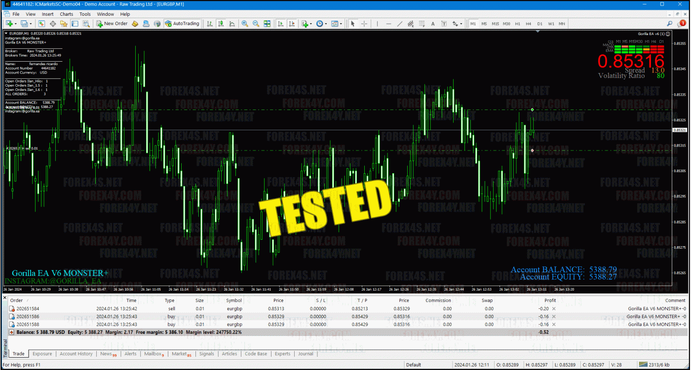 GORILLA EA v6 MONSTER+ (Source Code MQ4)
